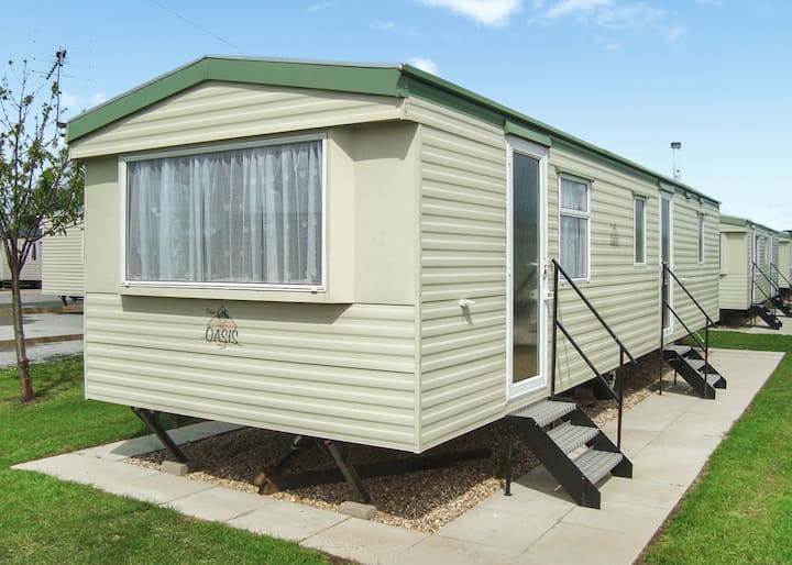 Laurel Superior - Mablethorpe
