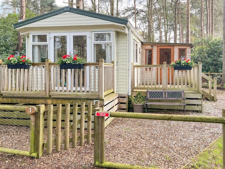 Robin's Retreat - Holt