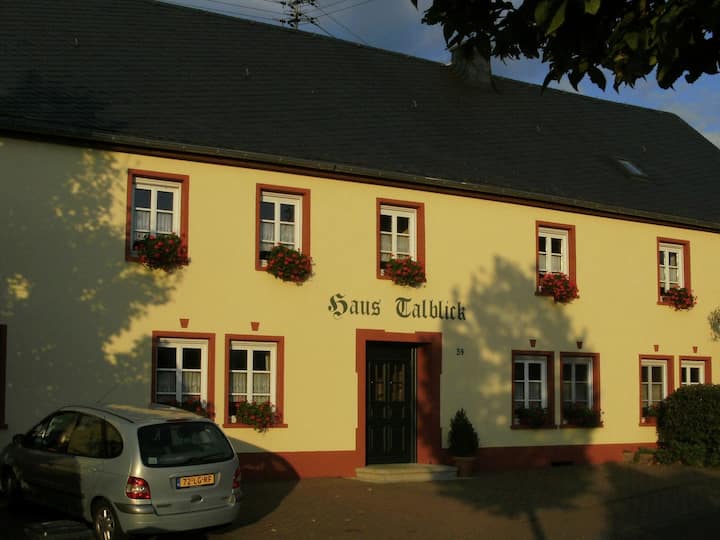Appartement Terrasse Près Du Zoo - Morbach