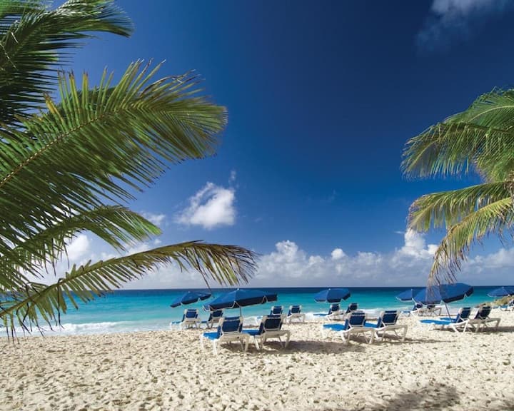 Seaside Retreat! Spacious Room W/ Full Kitchen - Barbados