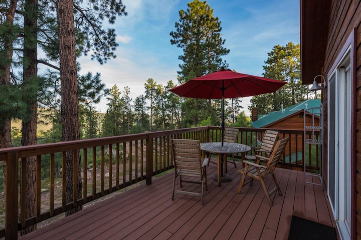 Cabin With Fantastic Views On 8 Acres - 20 Min To - Durango, CO