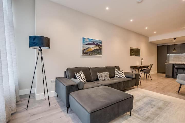 Stylish 1br Apartment In The Heart Of Belfast - Belfast