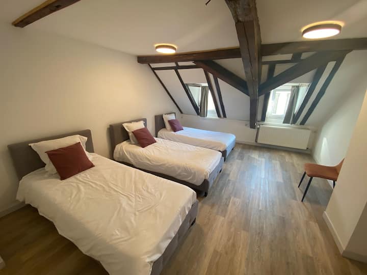 Logement Privatif "Cathédrale" - Strasbourg