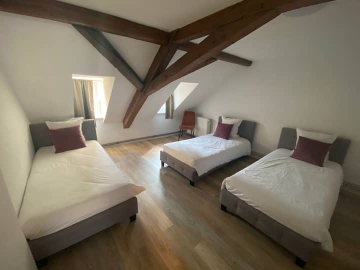 Logement Privatif "Cathédrale" - Strasbourg