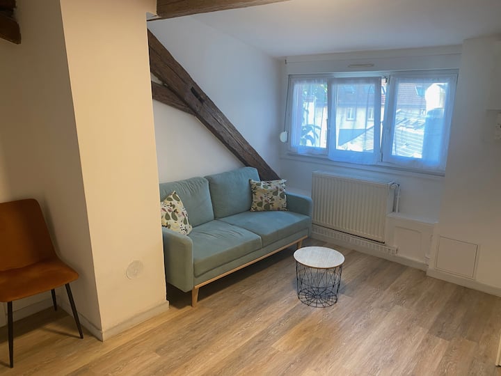 Logement Privatif "Cathédrale" - Robertsau