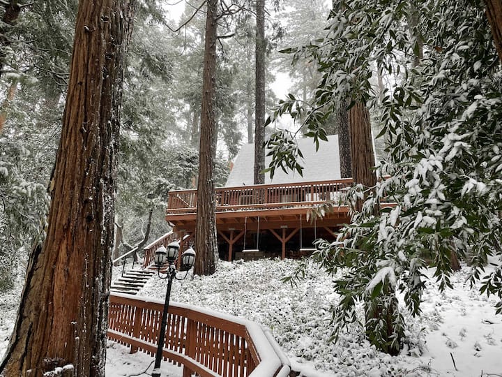 1bed + Loft | Treetop Hideaway - San Bernardino, CA