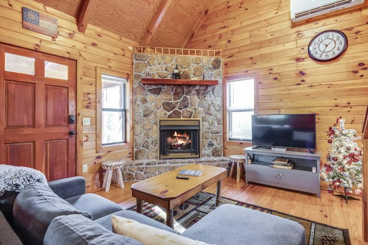 Dog-friendly Studio With Fireplace - Nottely Lake, GA