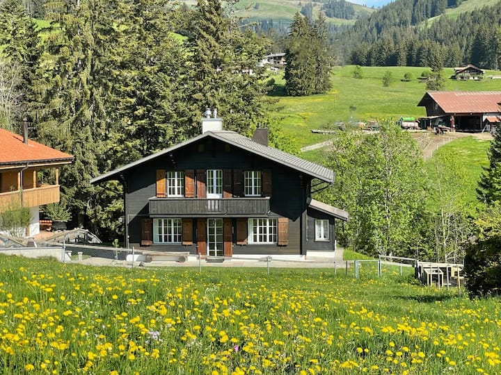 Lovely 4 Bedroom Chalet Great For Ski Holiday - Zweisimmen