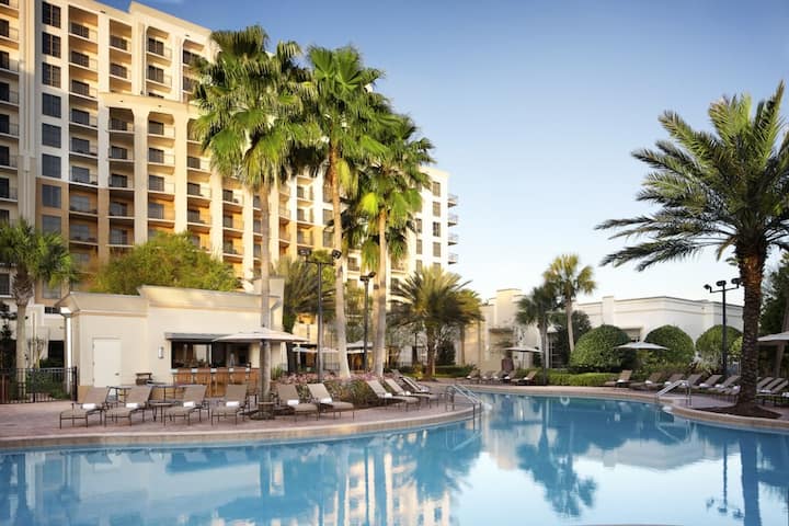 Las Palmeras, Hilton - Studio - 올랜도