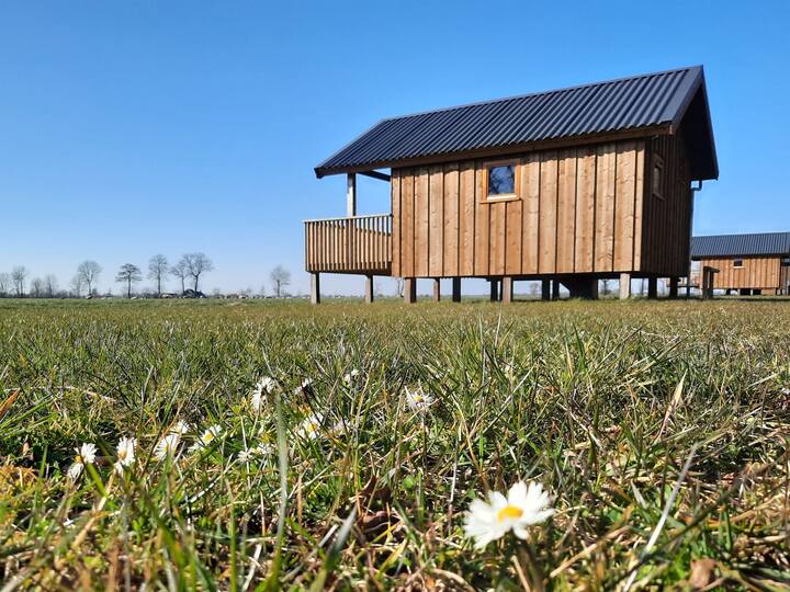Lodge Près Des Prairies Néerlandaises Avec Véranda - Meppel