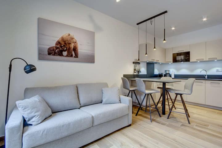 Echo Du Pleney A003 : Lovely New Central One Bedro - Morzine