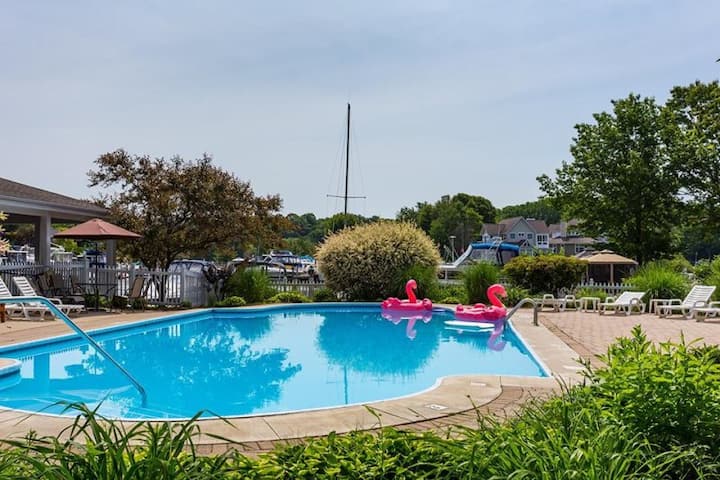 Heated Indoor/outdoor Pool And Hot Tub/ Pet Friend - South Haven, MI