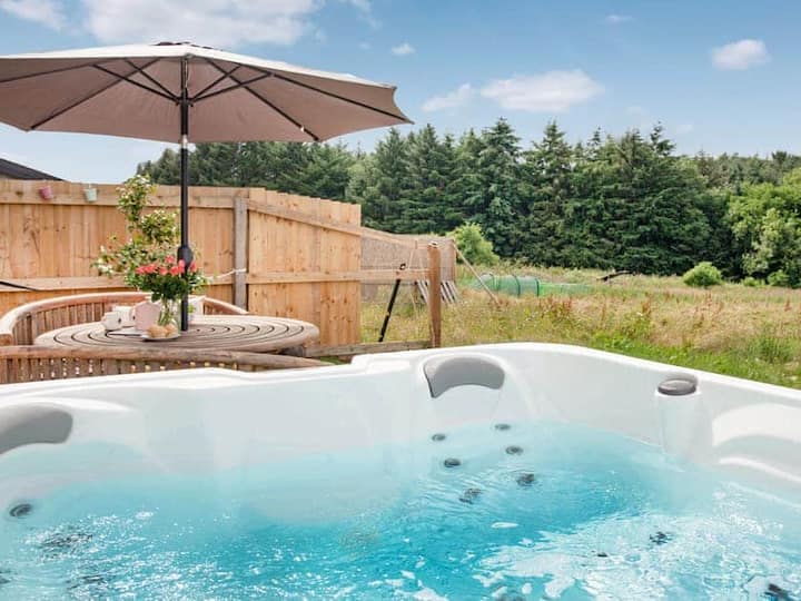 Cosy Cottage In The Blackdown Hills, Devon - Honiton