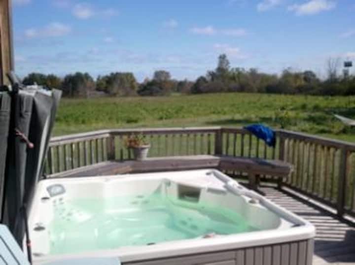 Walk To Big House, Hot Tub After The Game! - Ann Arbor