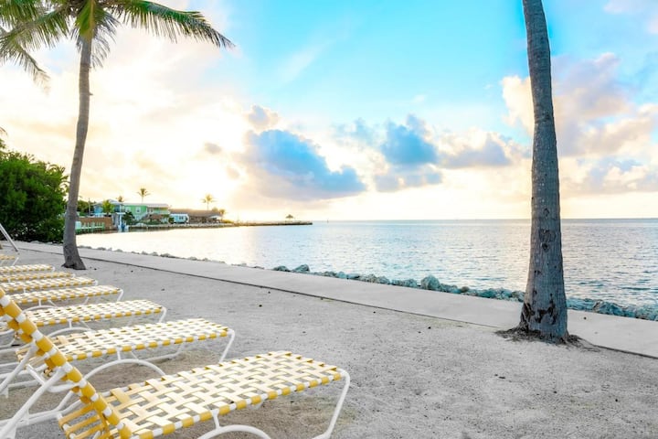 Strong Waves At Harry Harris Beach! Marina, Pool! - Islamorada, FL