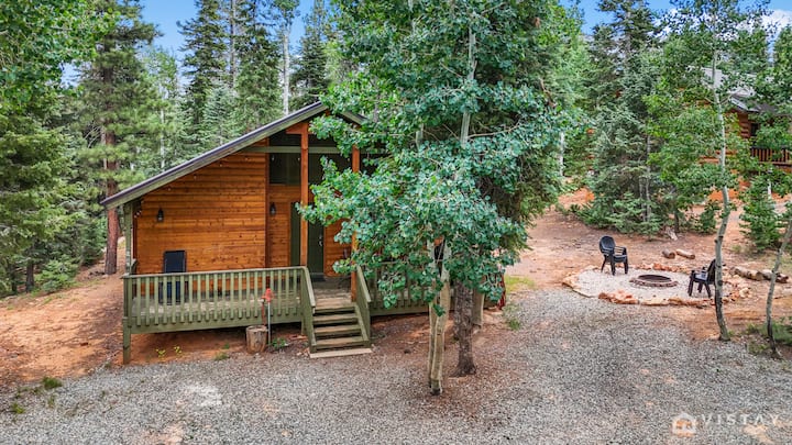 Lovely Log Cabin With Fire Pit! - Duck Creek Village, UT