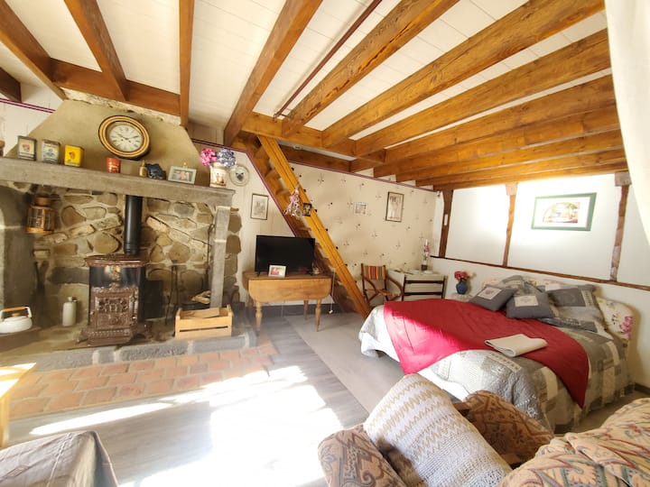 Maison De Village En Pierres - Murol