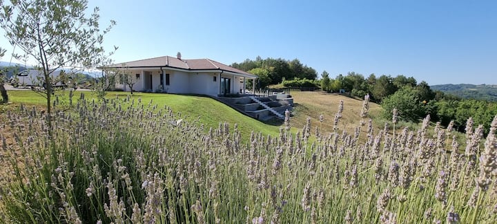 "Villa Green Forest" Nearby Motovun - Crovillas - Buzet