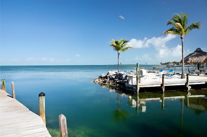 4 Spacious Units! Free Parking, Pets Allowed - Islamorada, FL