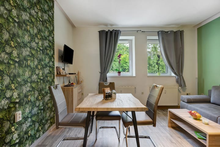 Ferienwohnung Classic - Radeberg