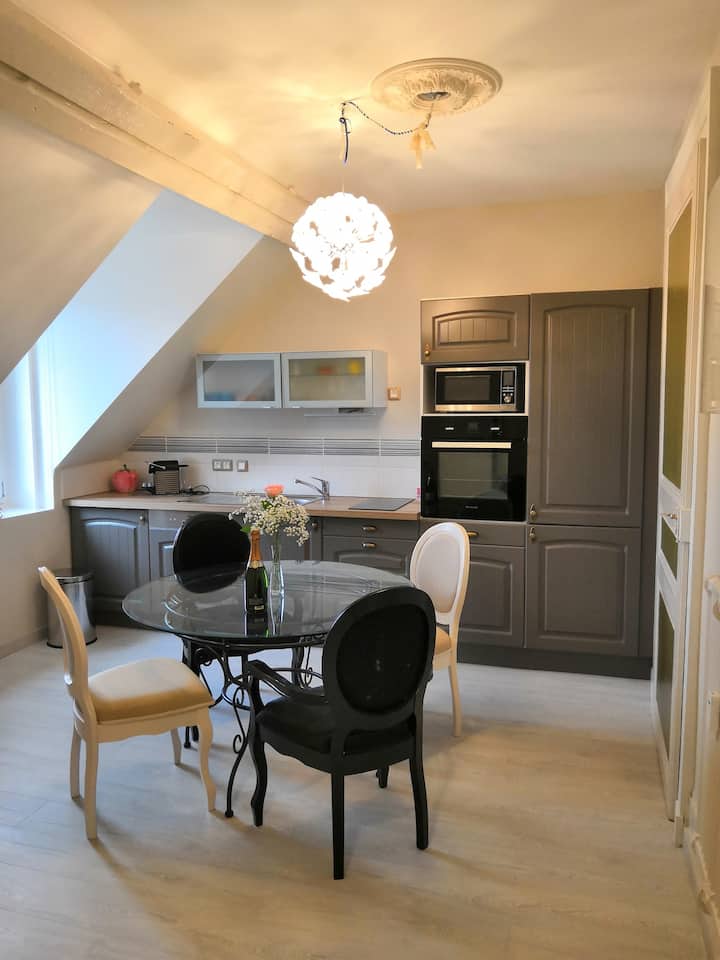 Appartement De Tourisme Cosyaix Retro Party - Aix-les-Bains