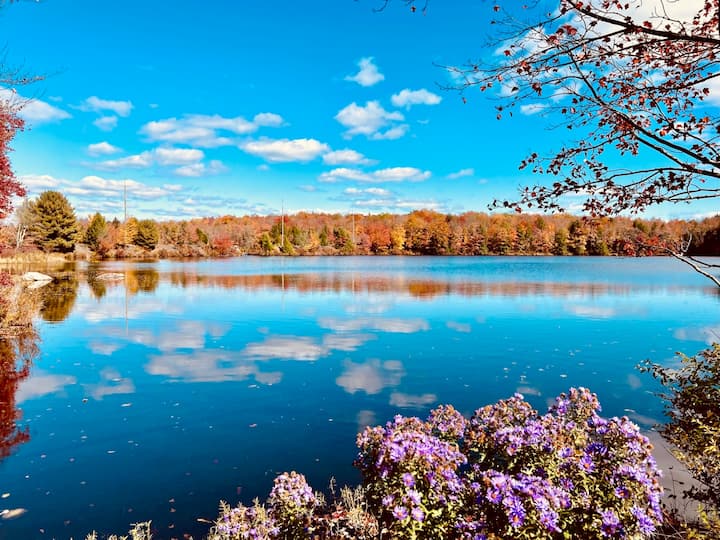 Pb&j Chalet - Game Room, 4 Lakes, Sand Beach - Arrowhead Lake, PA