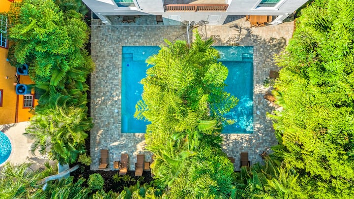 The Big Kahuna | Luxury Home Steps To Sk Village! - Sarasota, FL