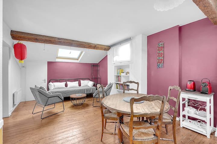 Spacieux Et Lumineux Dans Le Centre Historique - Toulouse