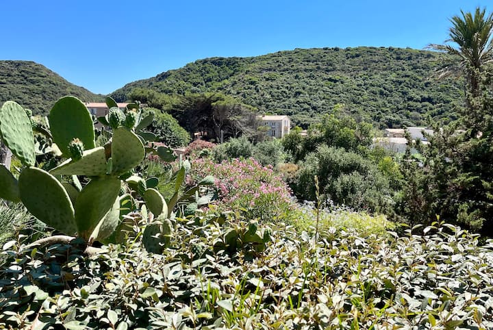 Maison De Maitre Au Charme D'antan Bonifacio - Bonifacio