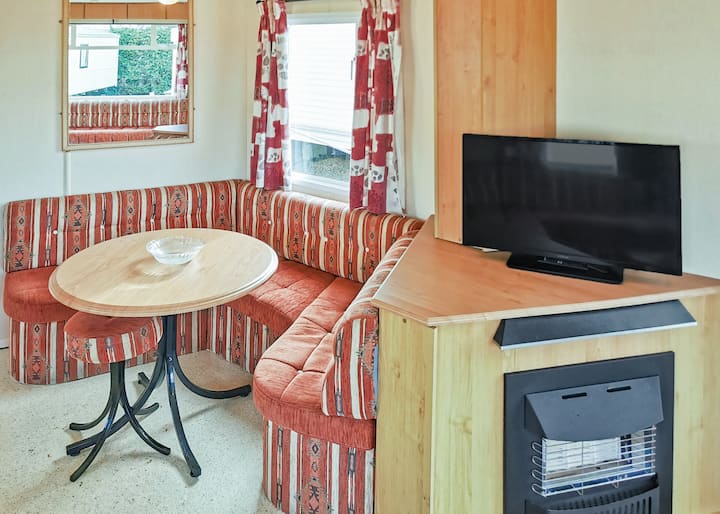 Bronze 3 Pet - Fishguard