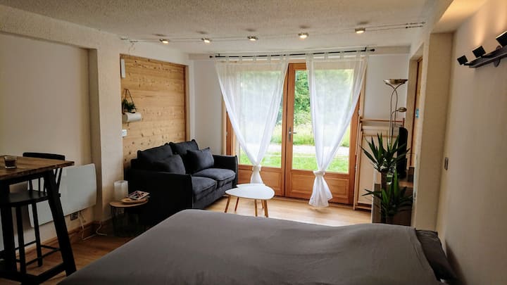 Perfect Ski In/ski Out Studio Grizzli - With Bath! - Les Gets