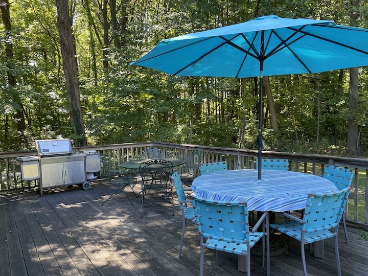 Lakeside Summer Cottage:beach Days & Bonfire Night - New Buffalo, MI
