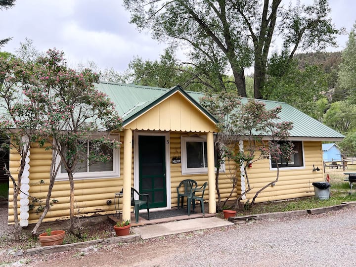 Cabin 05 - Lake City, CO