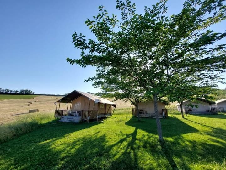Tenuta Tredici Ulivi - Tente Safari 4p Sanitaires - Senigallia