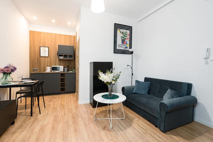 Pet-friendly | Balcony | 3 Guests | Poznan Center - Poznań