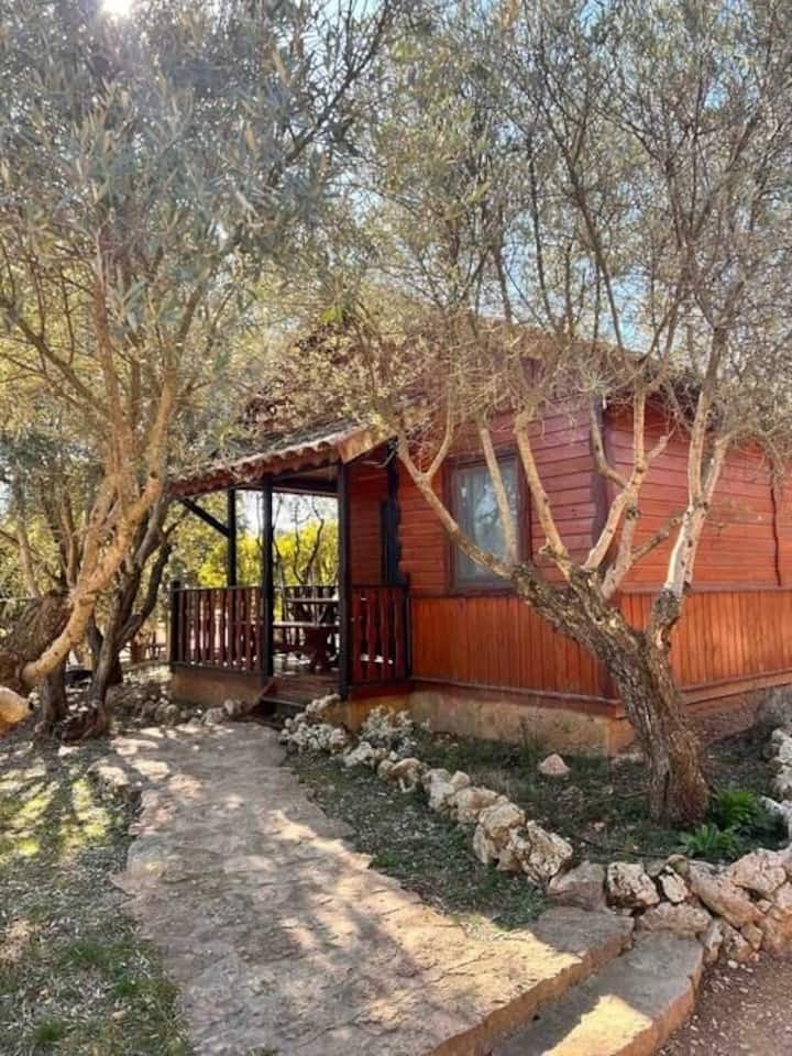 Bungalow Pour 4 Personnes - Alquézar
