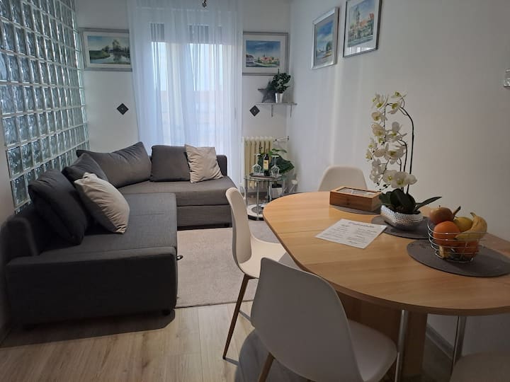 Apartment Dream - One Bedroom Apartment - Osijek