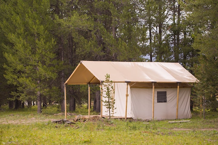 Yellowstone Adventure Safari Tent Sleeps 6 W/ King - Island Park, ID
