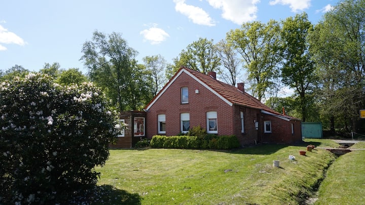 Ferienhaus Else (134773) - Westoverledingen