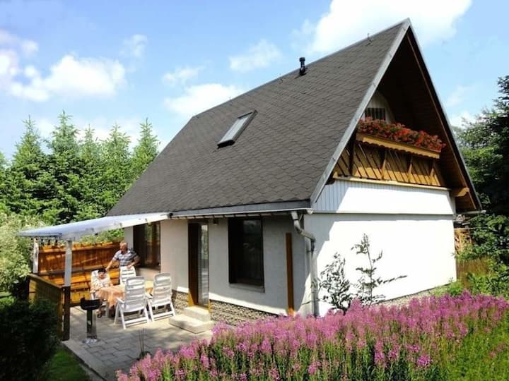 Ferienhaus Karin (65842) - Crottendorf