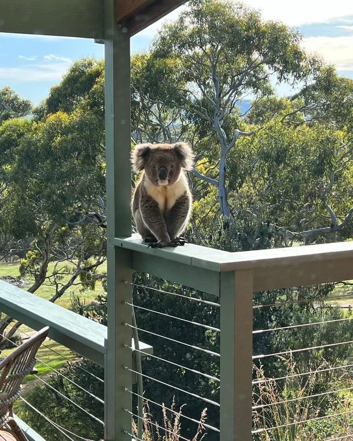 Allusions Farmstay Cellar House - South Australia