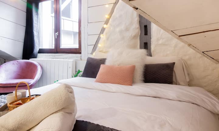 Lilas Rose Vieille Ville Charme Incroyable - Annecy-le-Vieux