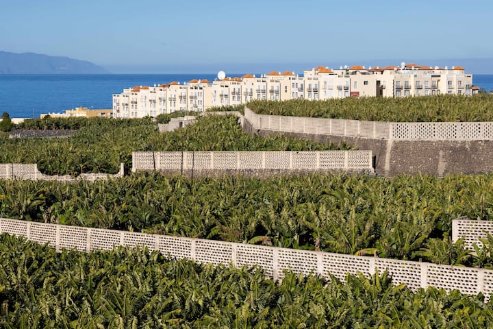 Callao Beach Experience By Sunkeyrents - La Gomera