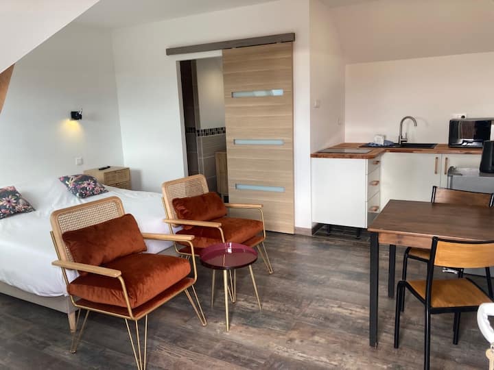 Studio-confort-douche-vue Mer-balcon - Ambleteuse