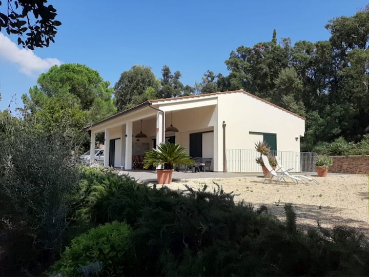 Villa Geko Immersed In 4000 M2 Park Straccoligno - Capoliveri