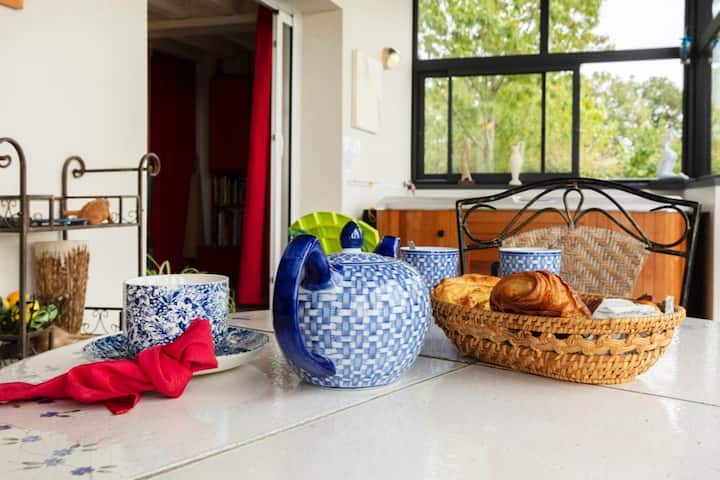 Gîte Belsoulel - Lavaur