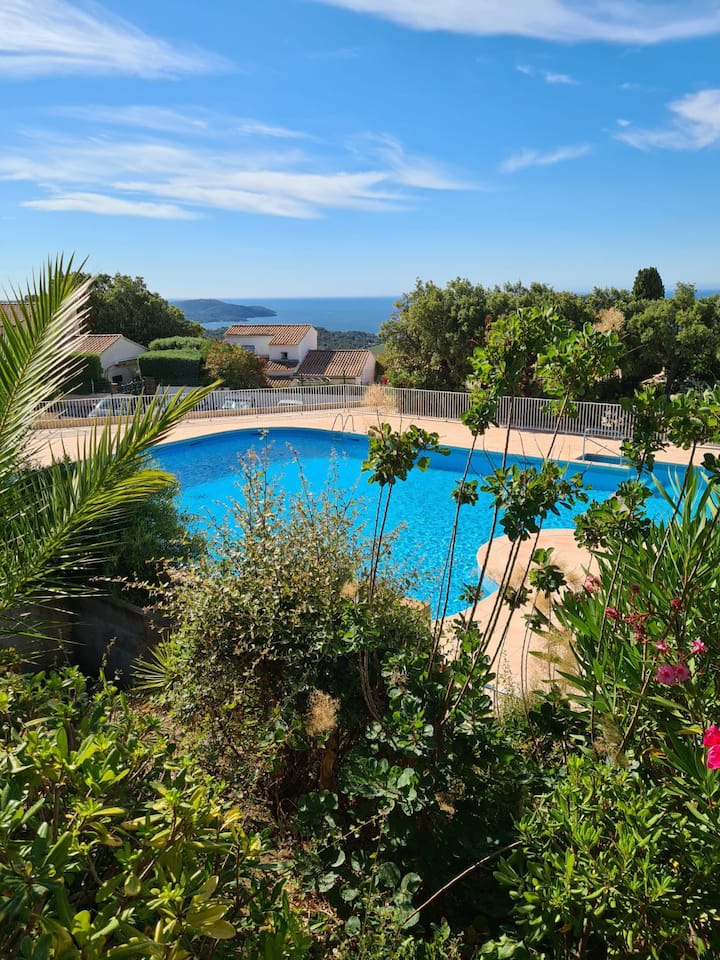 Charmant Appartement - Vue Sur La Baie Cavalaire - La Croix-Valmer