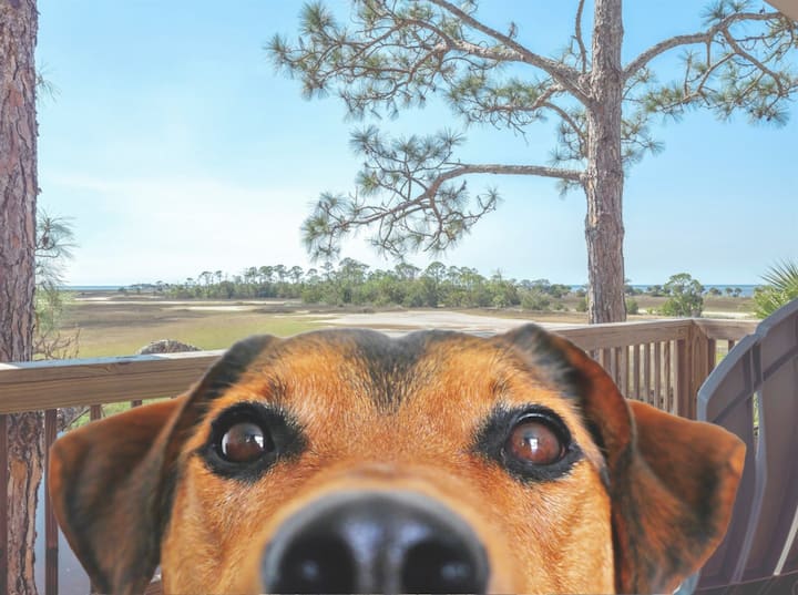 Enjoy Water View Fr Our Covered Deck, Pet Friendly - Keaton Beach, Perry