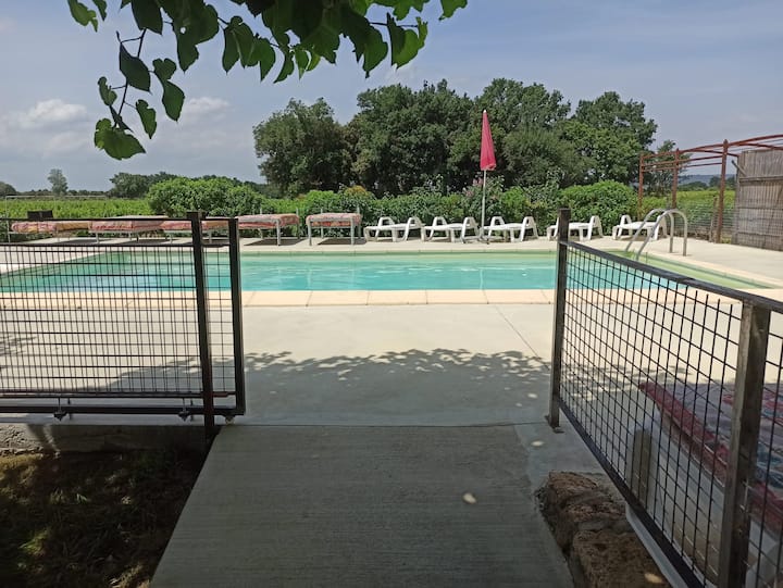 Grande Villa Avec Piscine à Richerenches - France