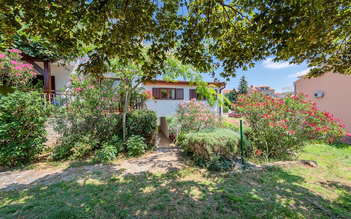 Apartment 1699/17567 - Fažana
